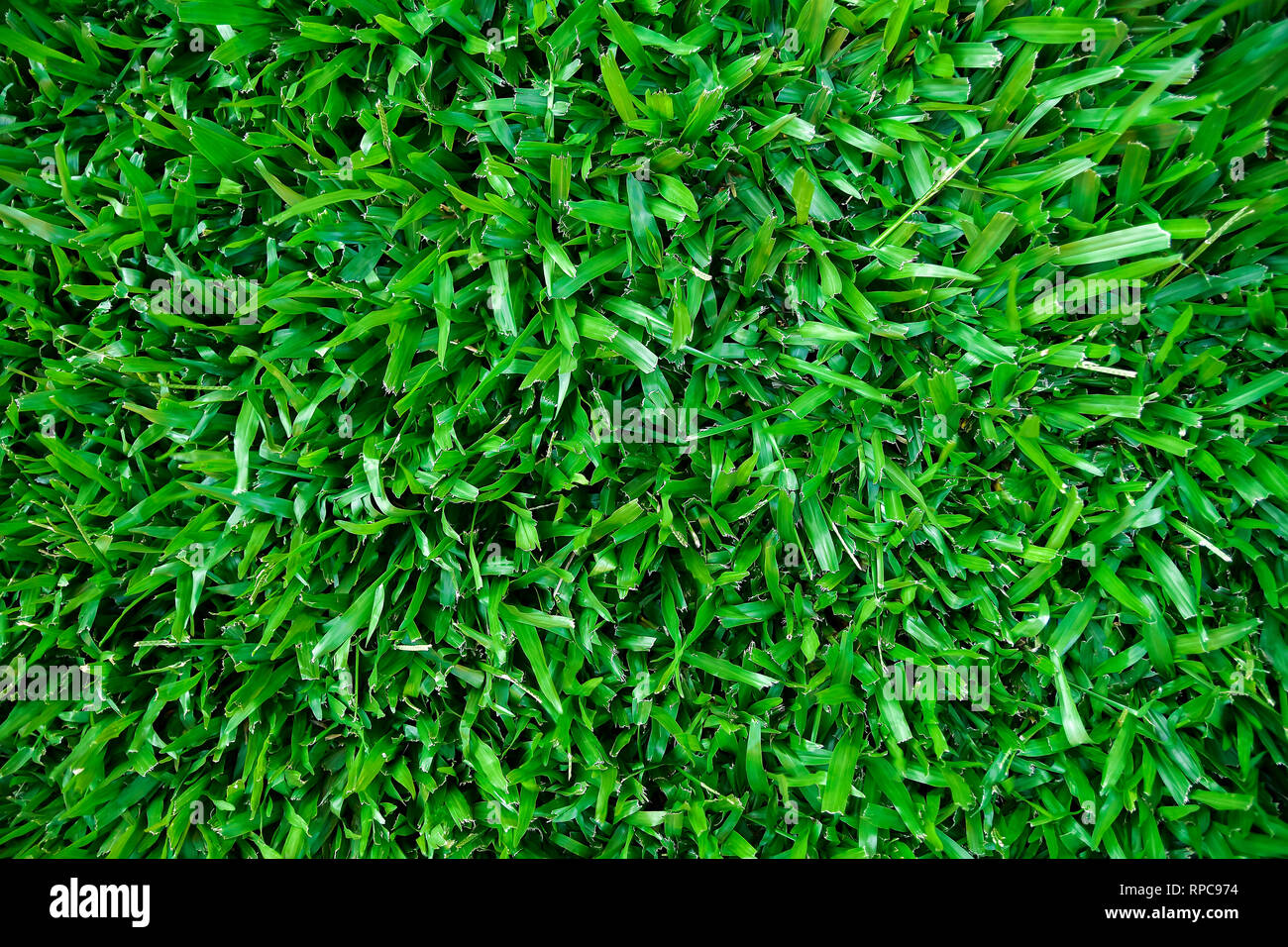 Grass from above Stock Photo - Alamy