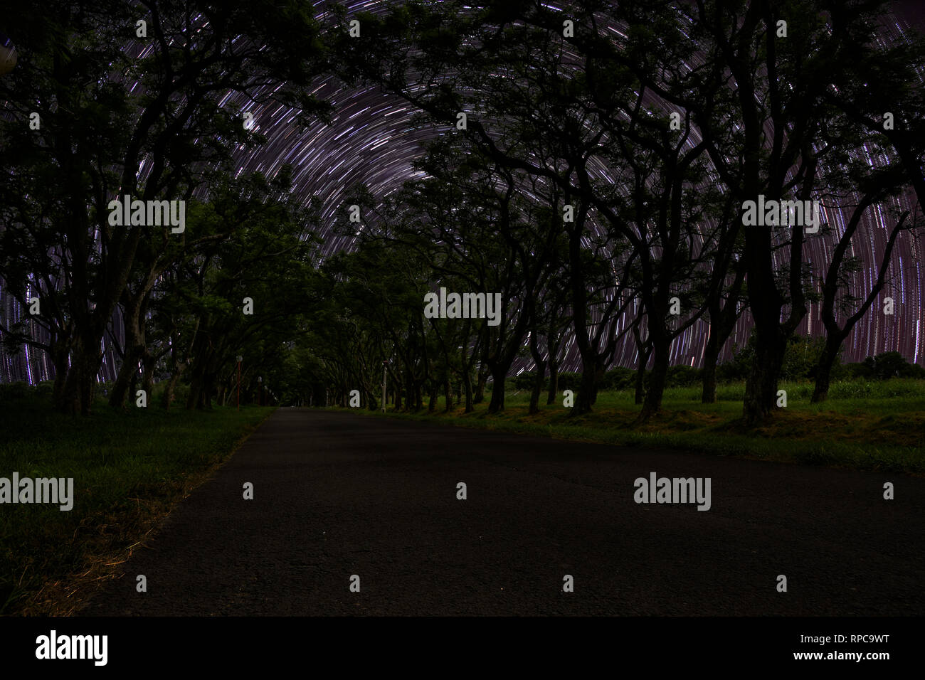 Tree lines on the sides of the road at night with a circumpolar star ...