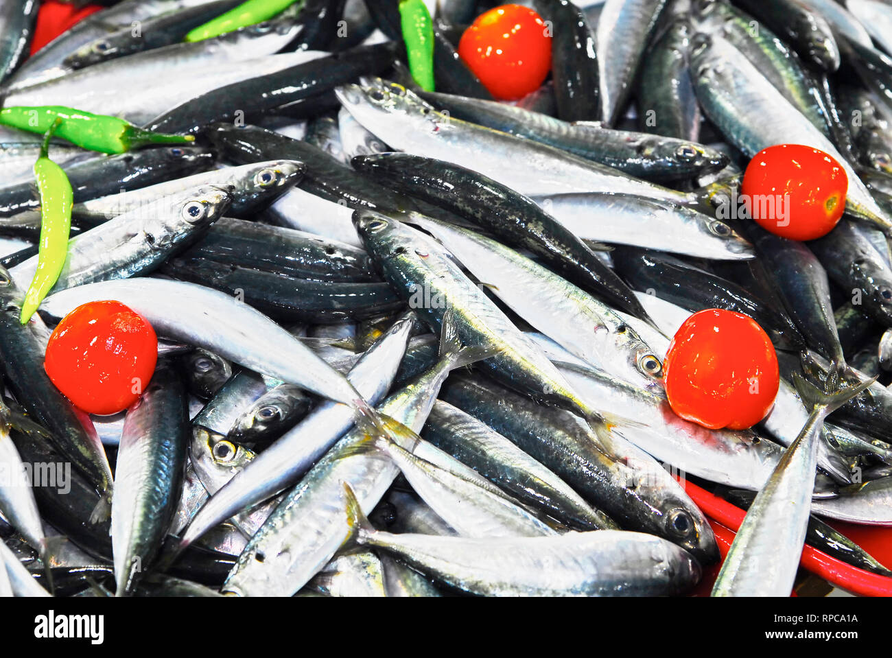 Plenty of mackerel, Galunggong fish on a tray, decorated with tomatoes ...