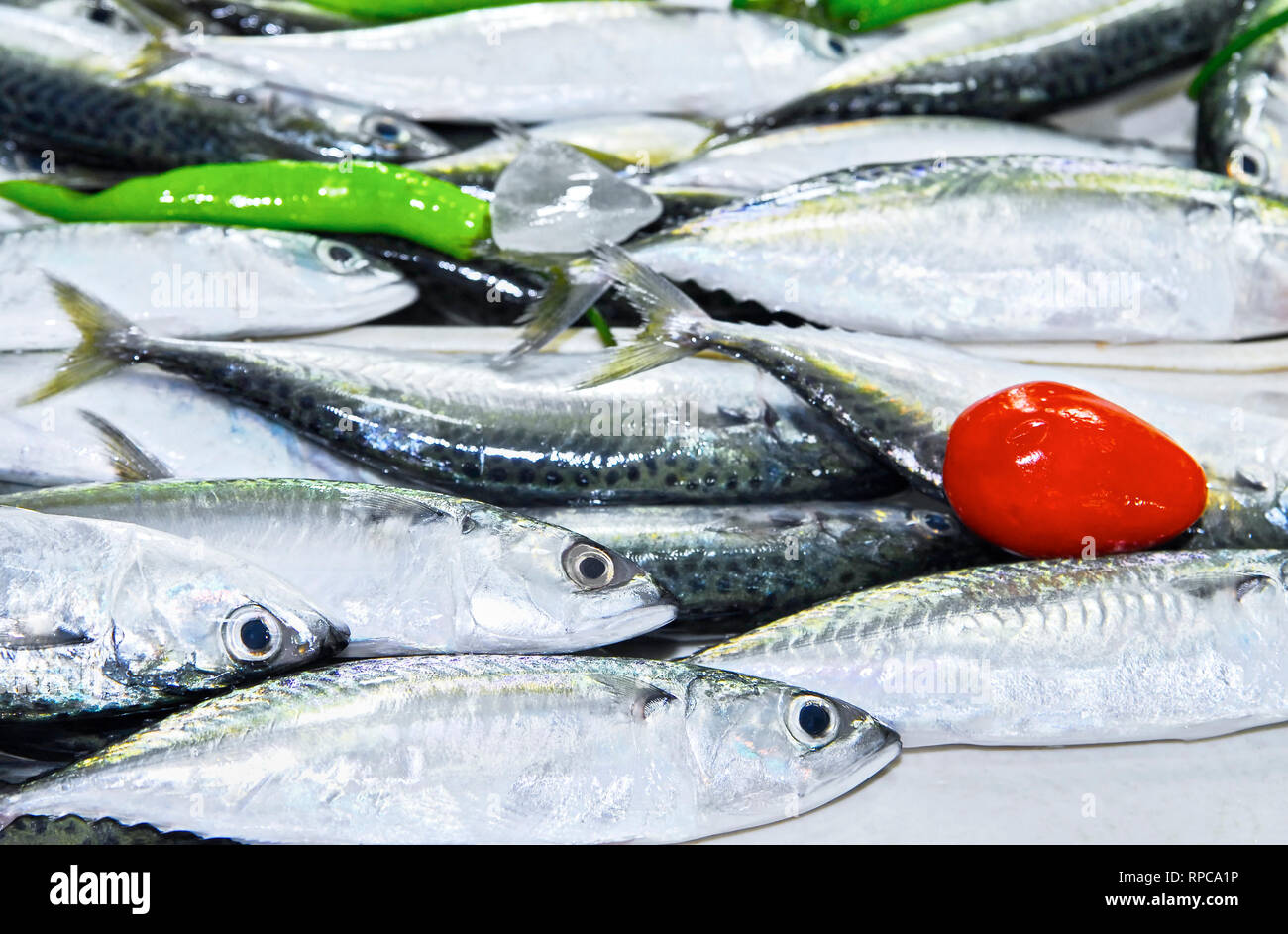 Plenty of mackerel, Galunggong fish on a tray, decorated with tomatoes ...