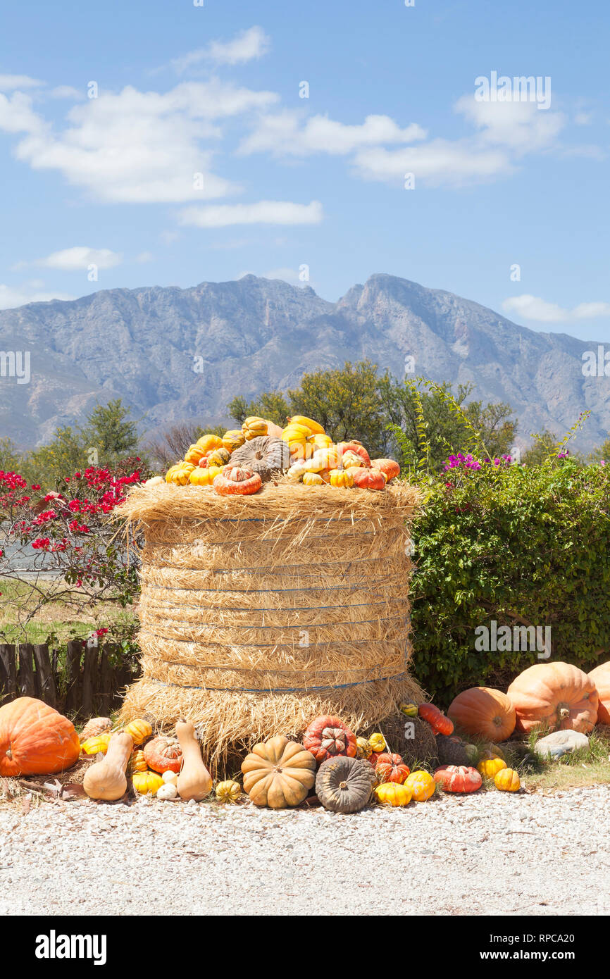Gourds Africa Stock Photos & Gourds Africa Stock Images - Alamy