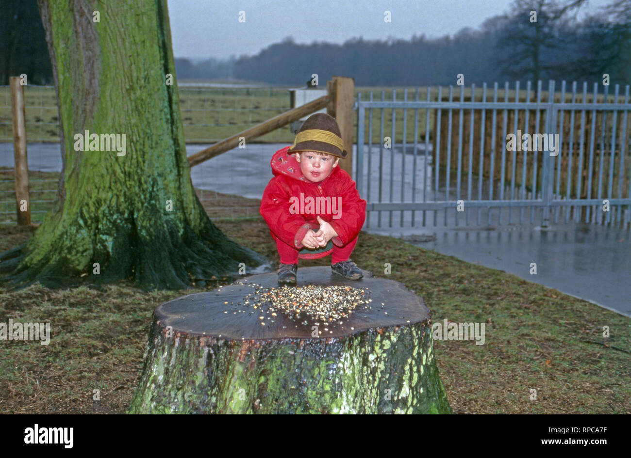 Der klien Sohn von Rudolph Prinz von Croy in Dülmen, Deutschland 1989 ...