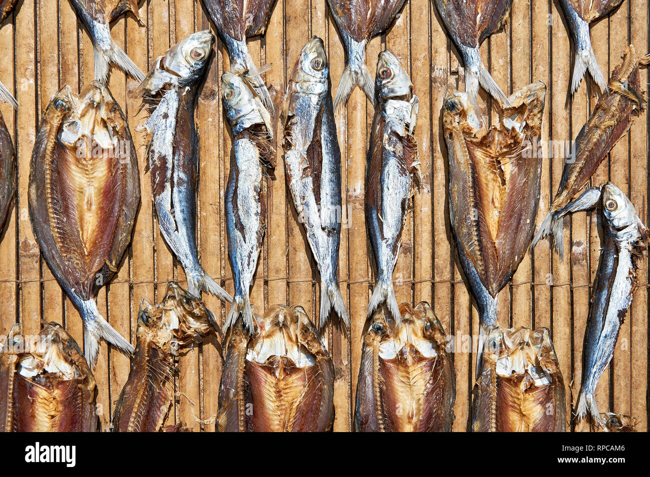 Plenty salted fish, cut into half and lay out for drying on a bamboo ...