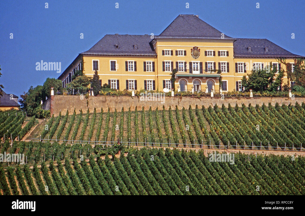 Schloss Johannisberg, Sitz der Familie von Metternich-Winneburg bei ...