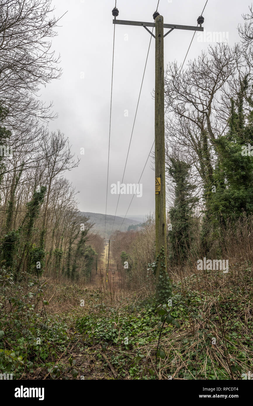 Wooden pylons hi-res stock photography and images - Alamy