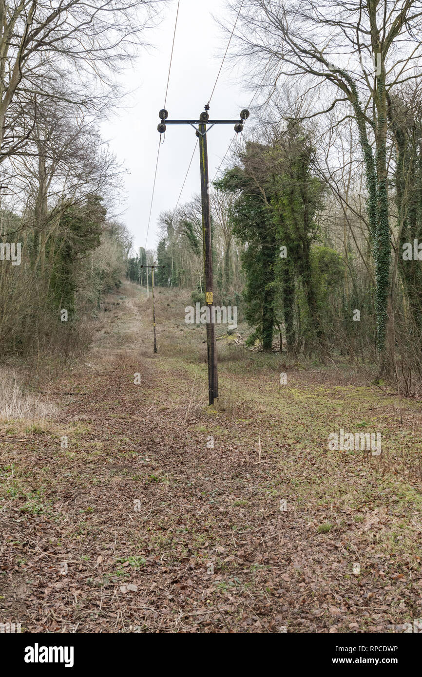 high voltage wooden pylons in forest Stock Photo - Alamy
