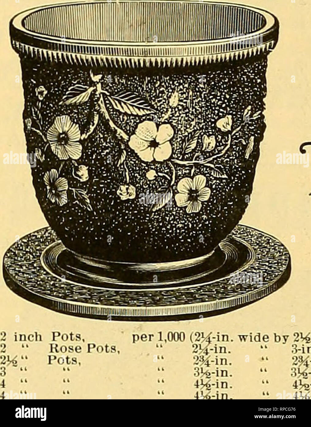 An paq 1 hi-res stock photography and images - Alamy