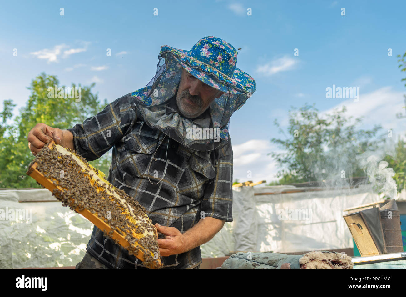 Human hive hi-res stock photography and images - Alamy