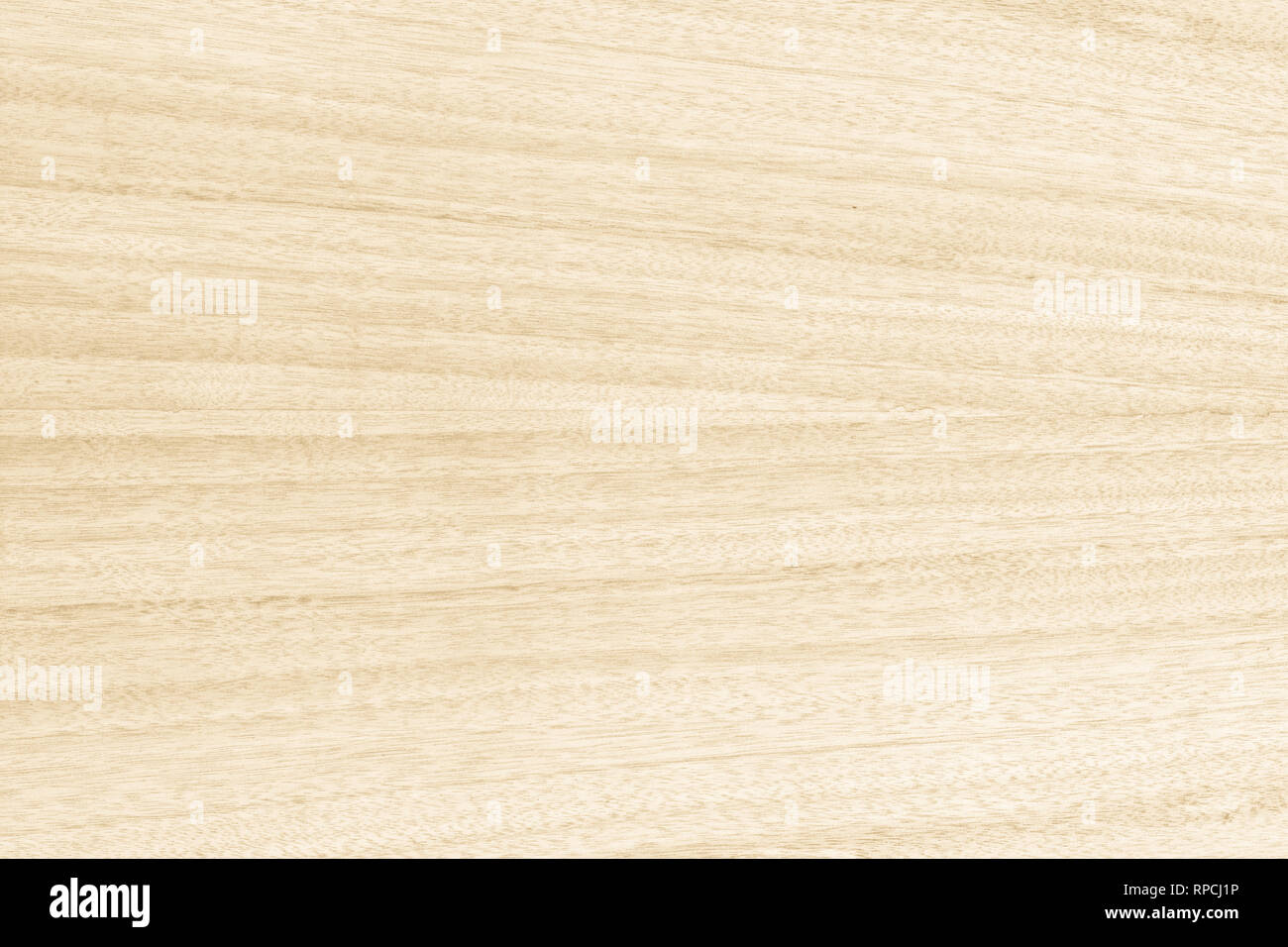 Oak Texture Seamless