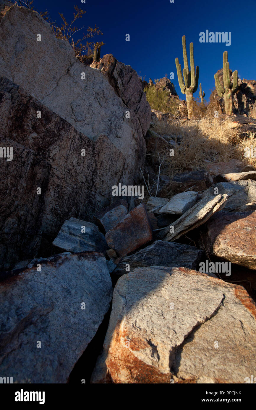 Phoenix Mountain Preserve Stock Photo - Alamy