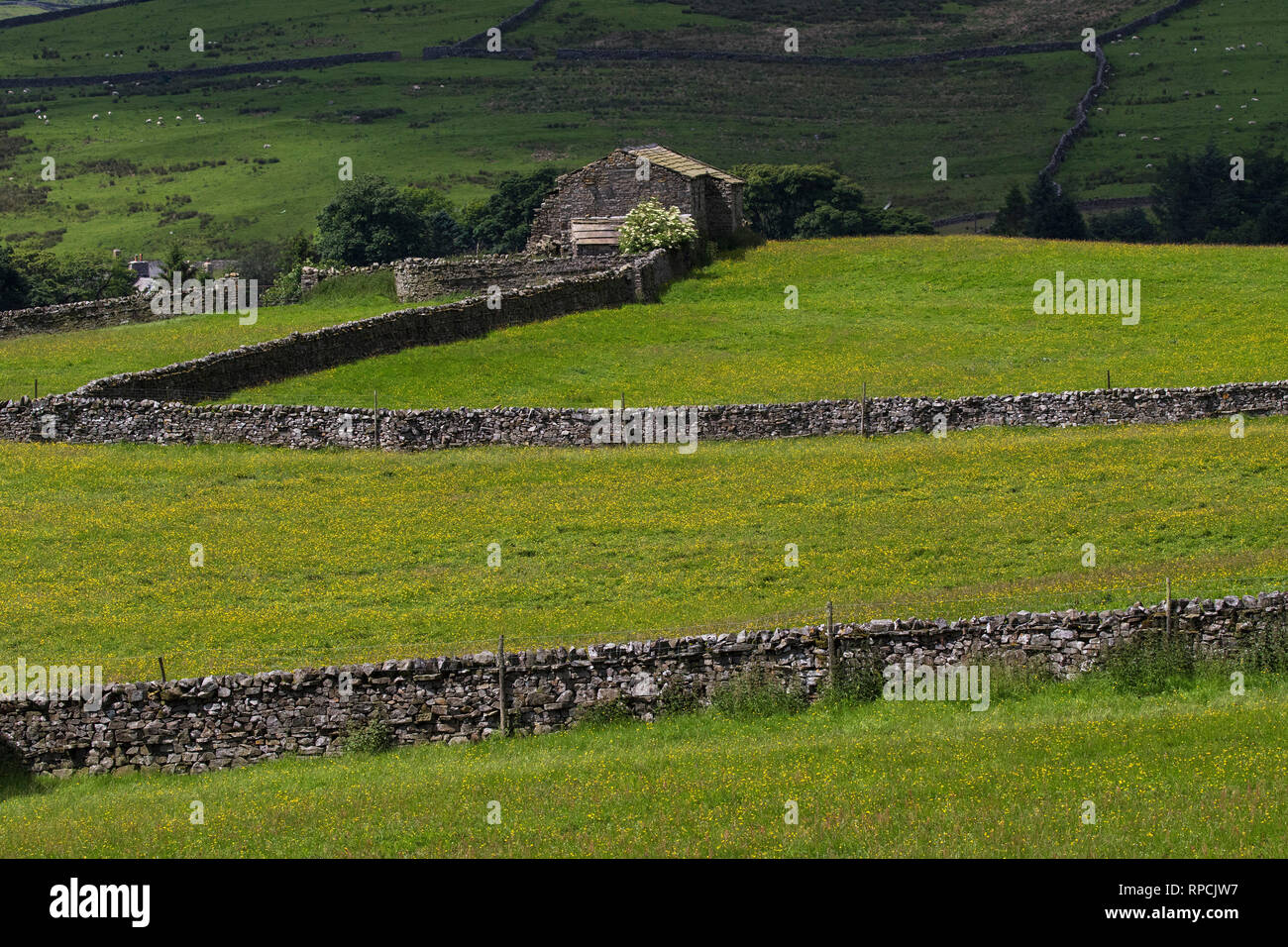 Old stone barn and dry stone walls near Hawes Yorkshire Dales National ...