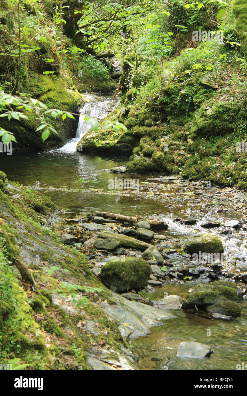 Lydford Gorge, River Stock Photo - Alamy
