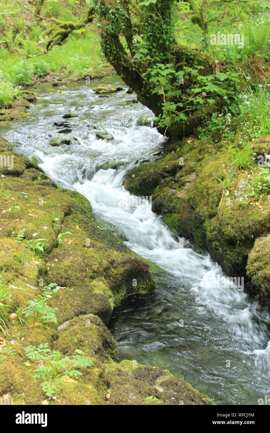 Lydford Gorge, River Stock Photo - Alamy