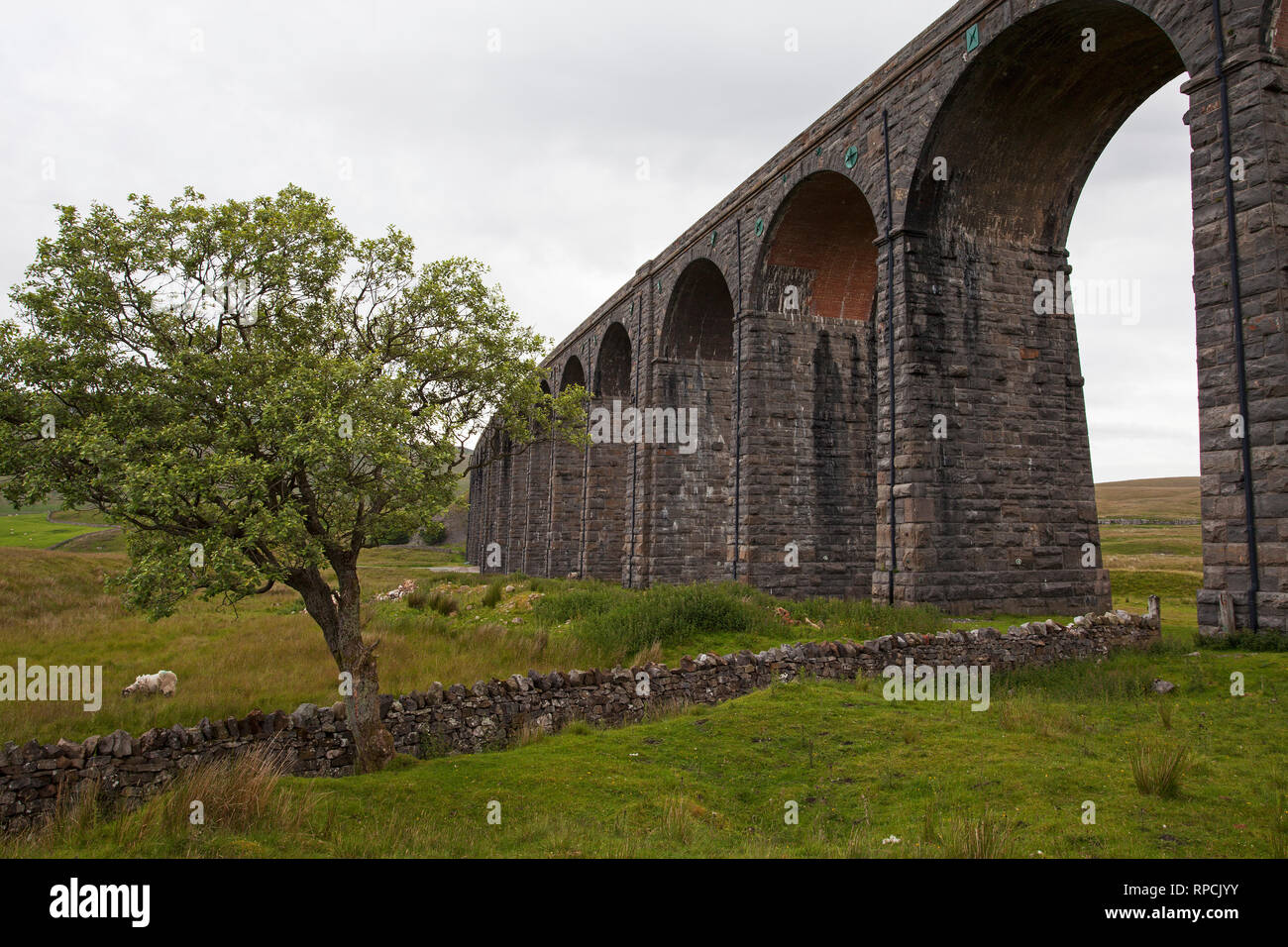 Part of the Ribblehead Viaduct River Ribble Valley Ribblehead Yorkshire ...
