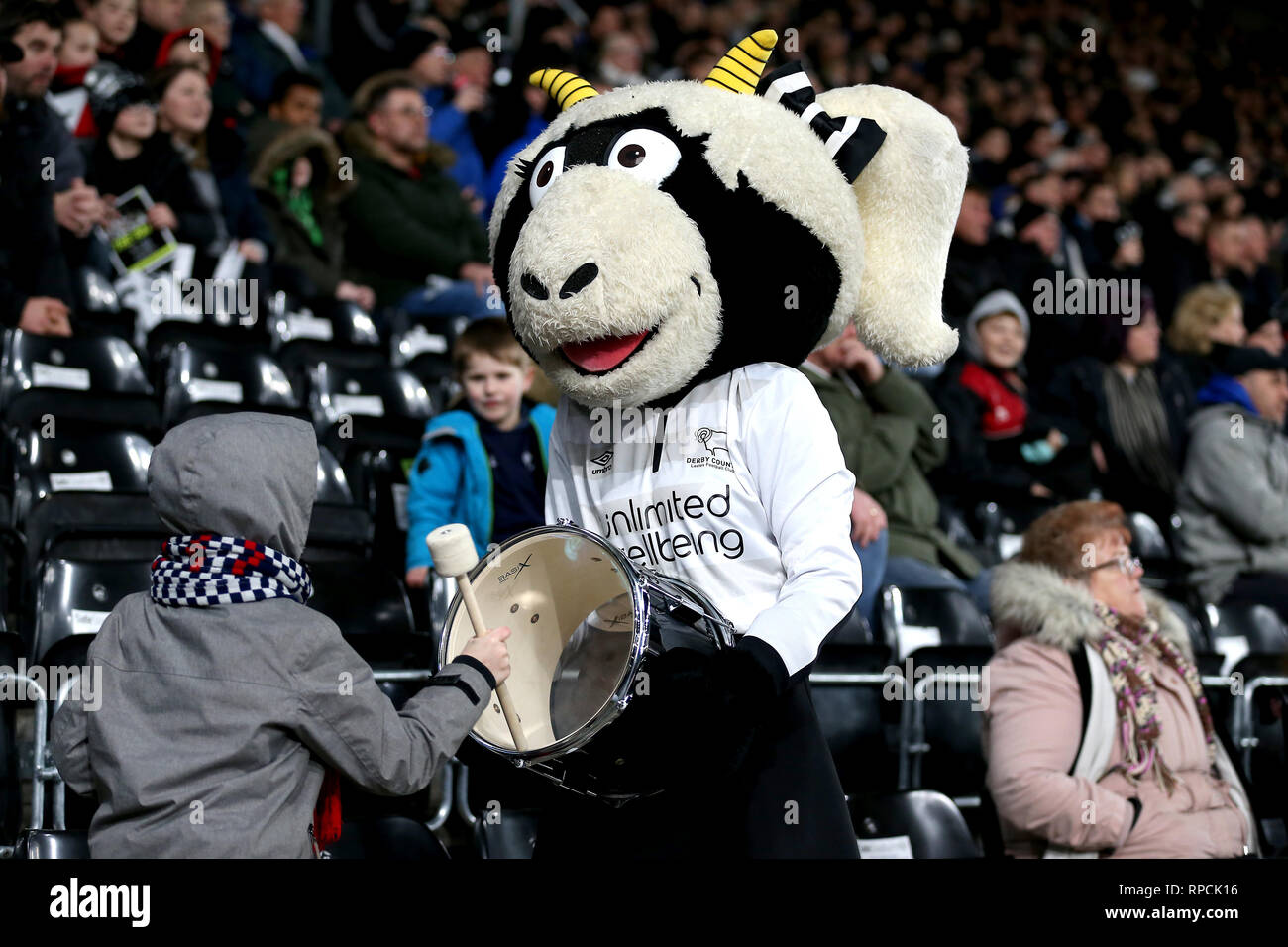 Derby County mascot Ewie Stock Photo - Alamy