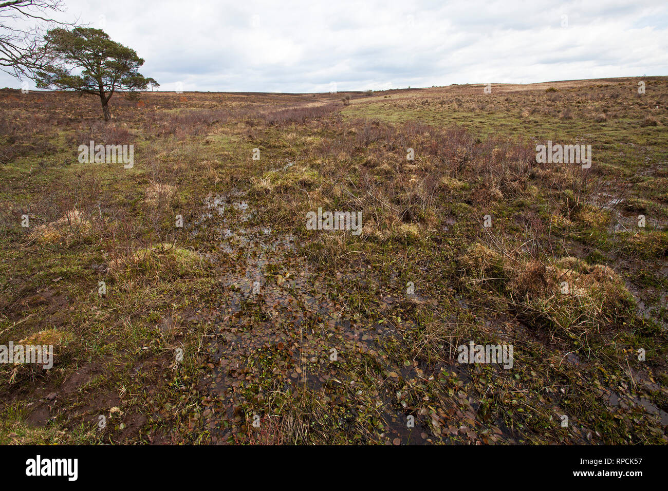 Handy cross plain hi-res stock photography and images - Alamy