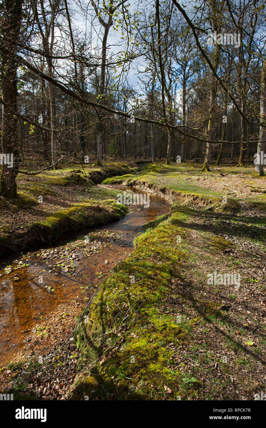 Latchmore brook hi-res stock photography and images - Alamy