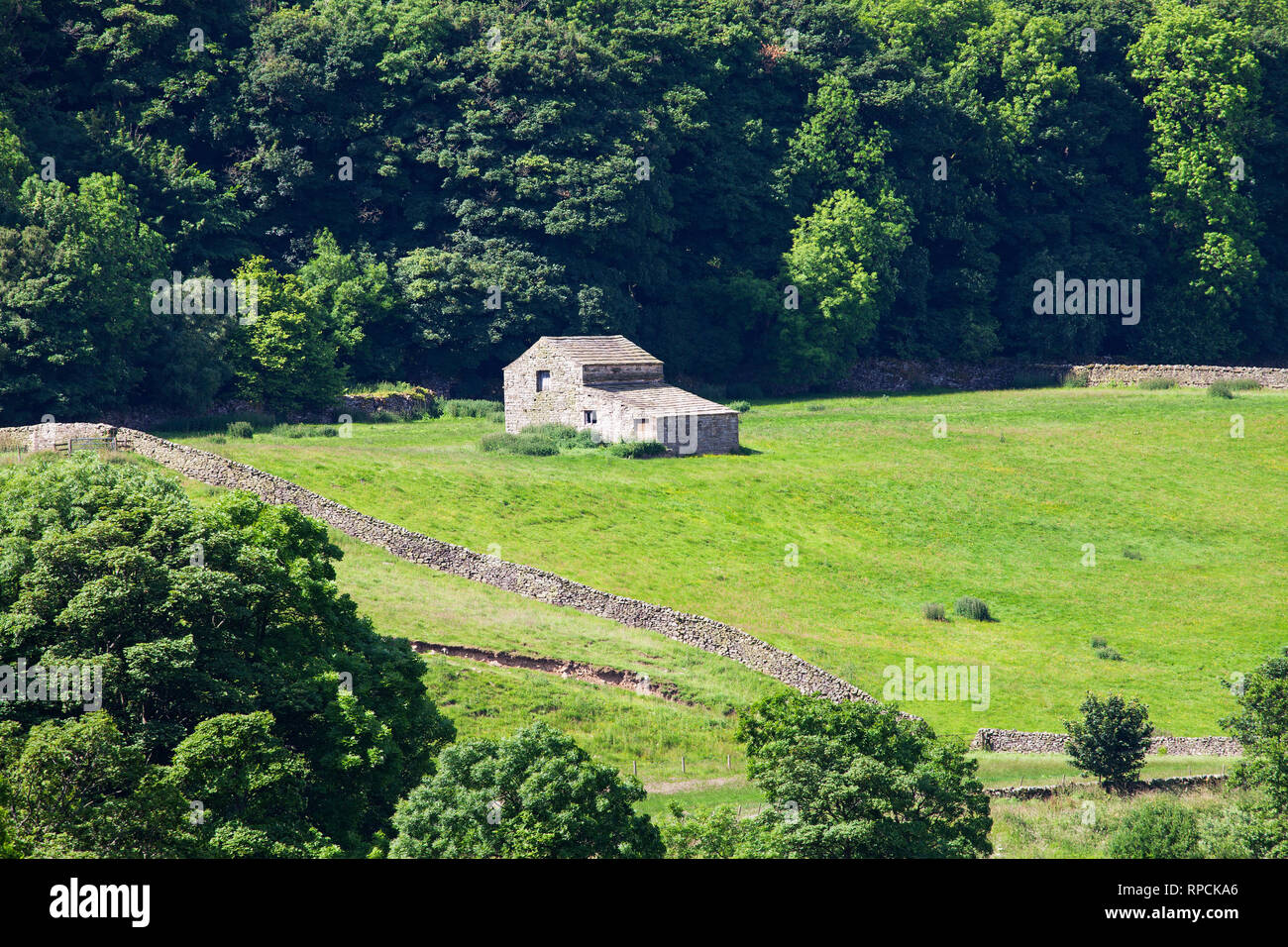 Old stone barns and hay meadows with sheep near Gunnerside Swaledale ...