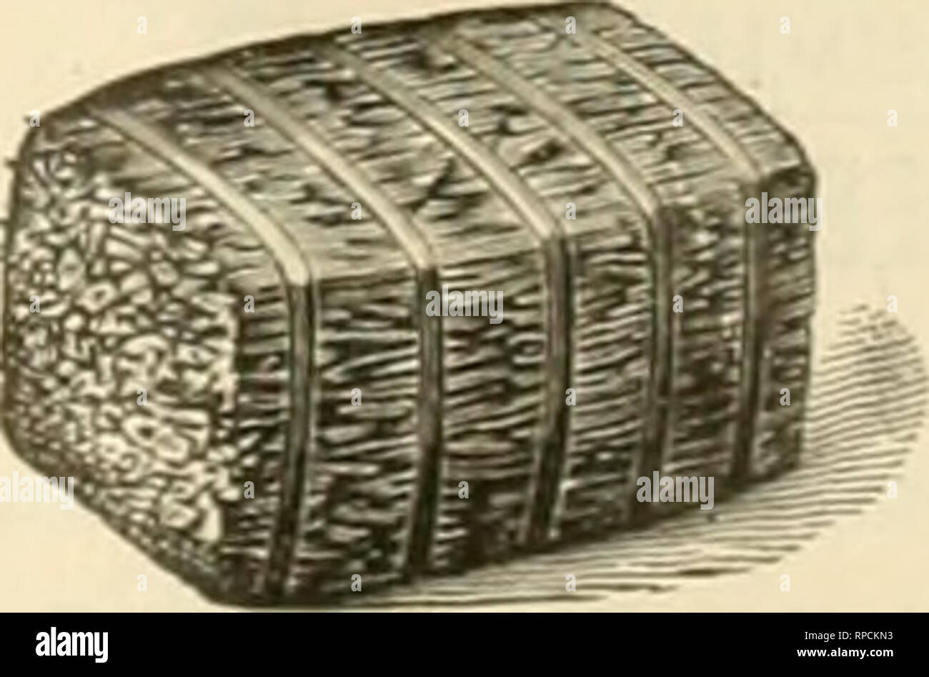 Butler arch hi-res stock photography and images - Alamy