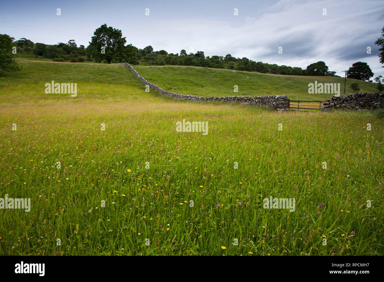 Yockenthwaite meadows hi-res stock photography and images - Alamy
