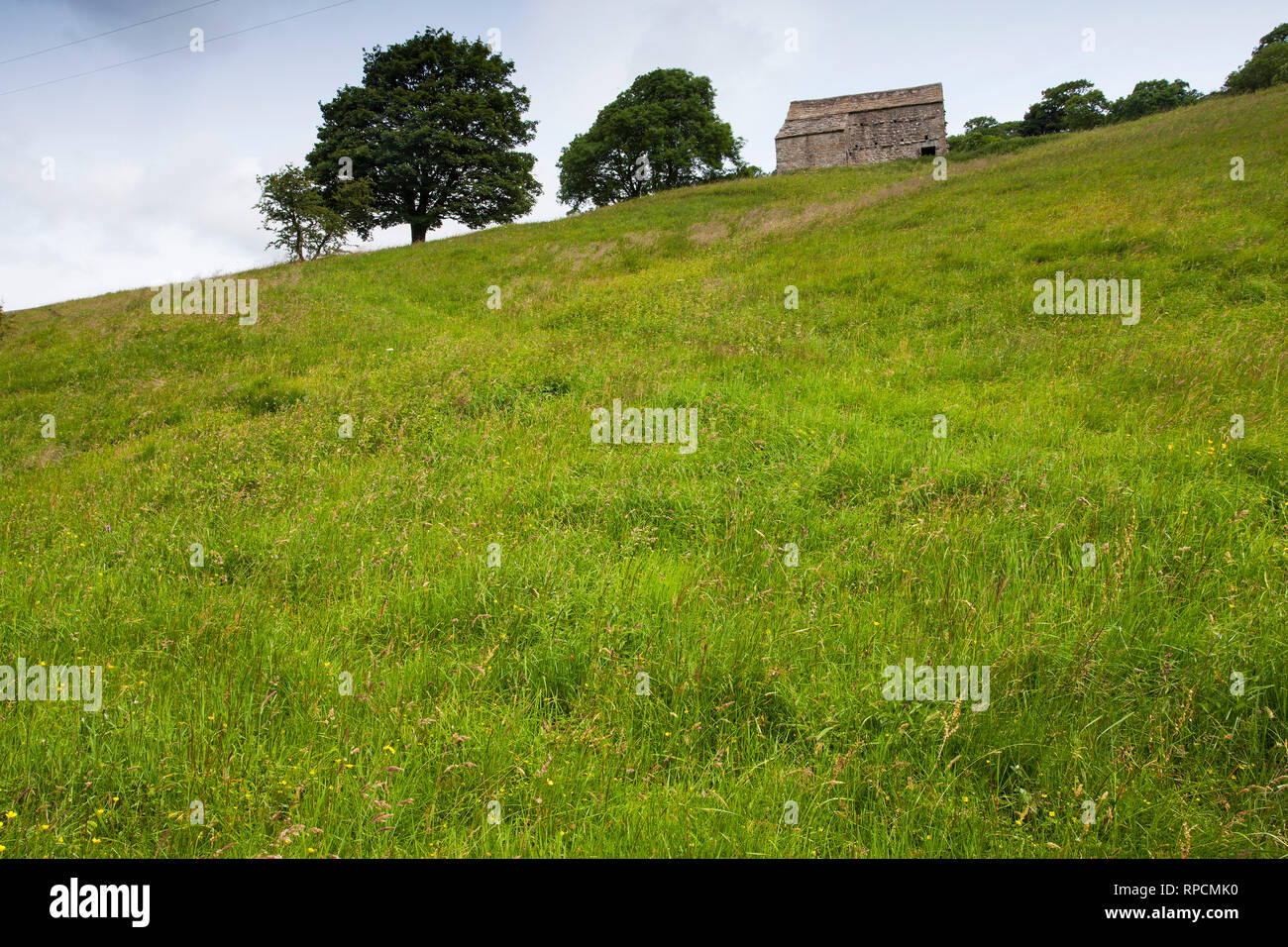 Old stone barn Yockenthwaite Meadows Langstrothdale Yorkshire Dales ...