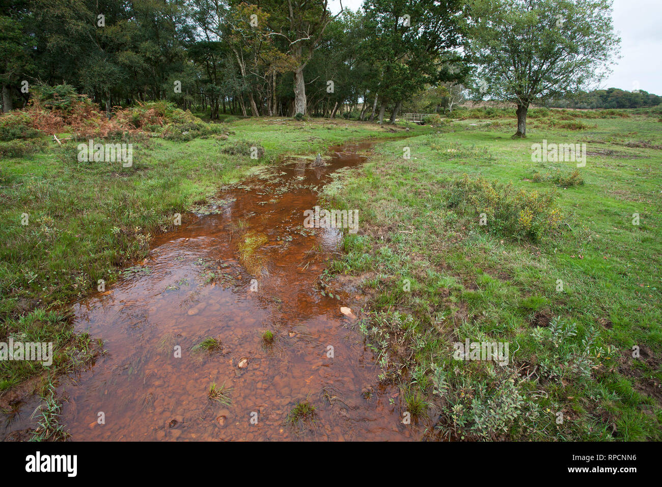 Restored stream bed hi-res stock photography and images - Alamy
