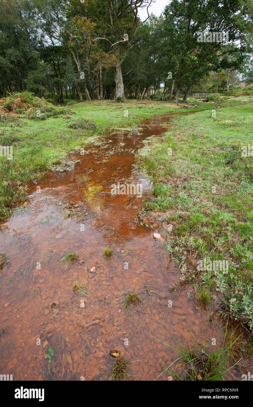 Restored Stream Bed High Resolution Stock Photography and Images - Alamy