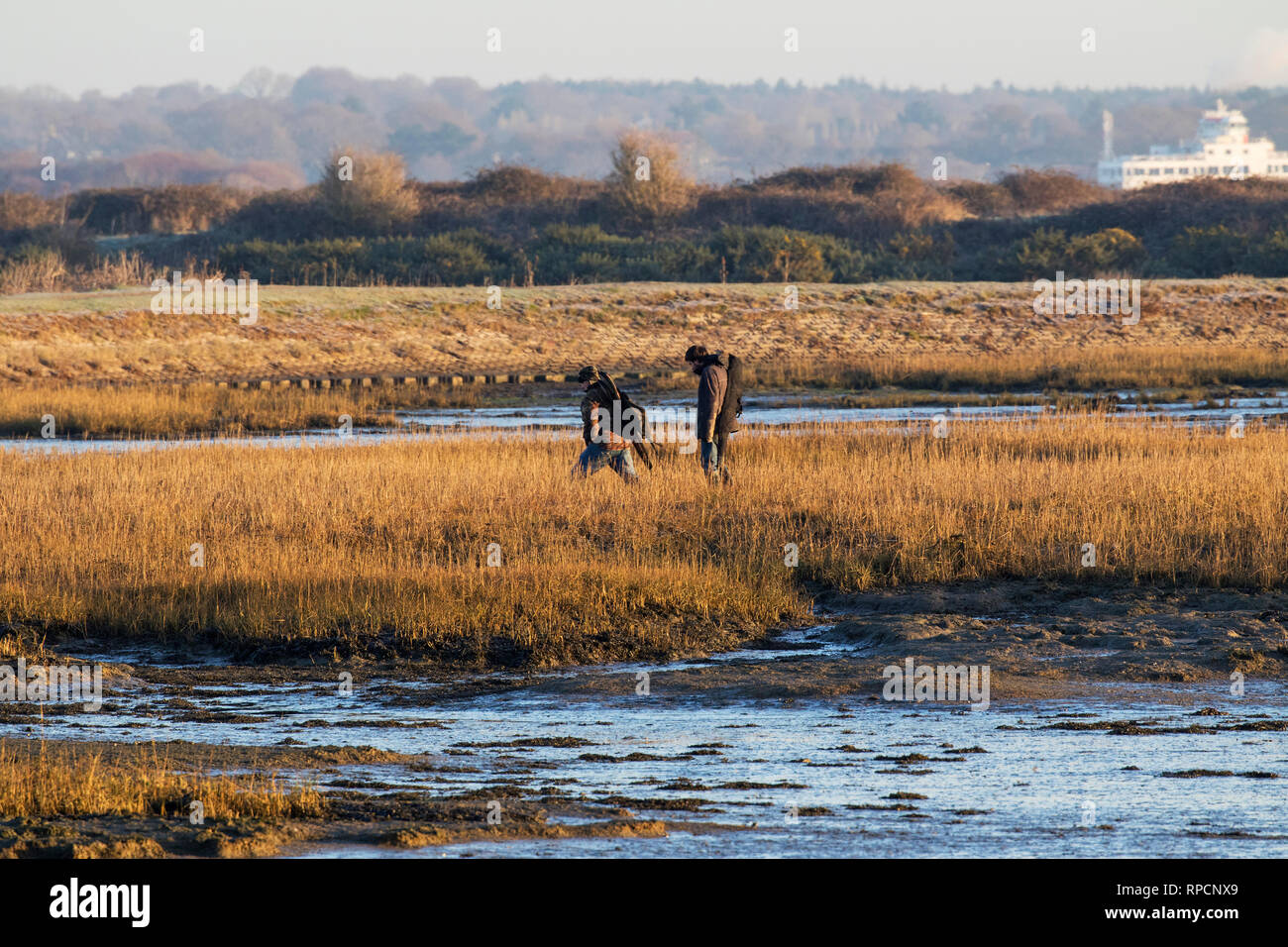 Wildfowlers on saltmarsh Lymington and Keyhaven Marshes Hampshire and ...