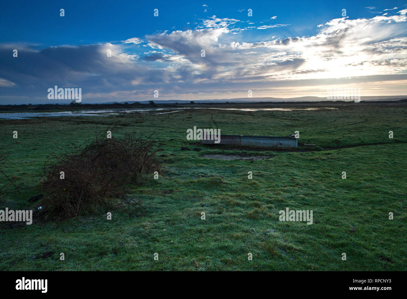 Freshwater marshes hi-res stock photography and images - Alamy