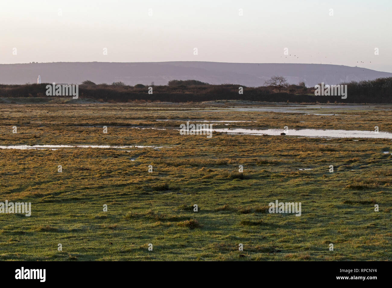 Freshwater marsh with the Isle of Wight beyond Lymington and Keyhaven ...
