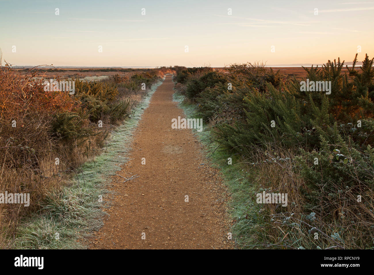Lymington and keyhaven marshes hi-res stock photography and images - Alamy