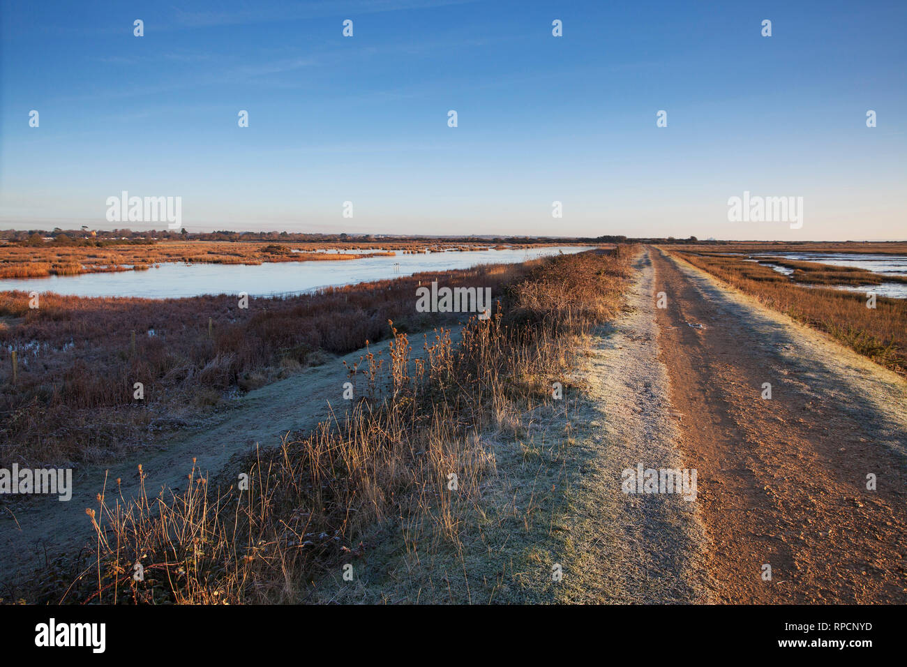 Saltmarsh and freshwater marsh Lymington and Keyhaven Marshes Hampshire ...