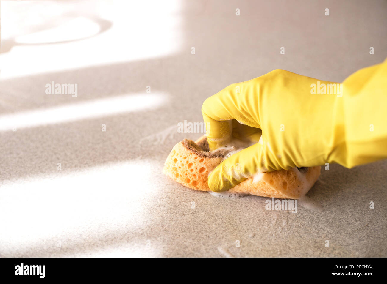 Female janitor cleaning table hi-res stock photography and images - Alamy