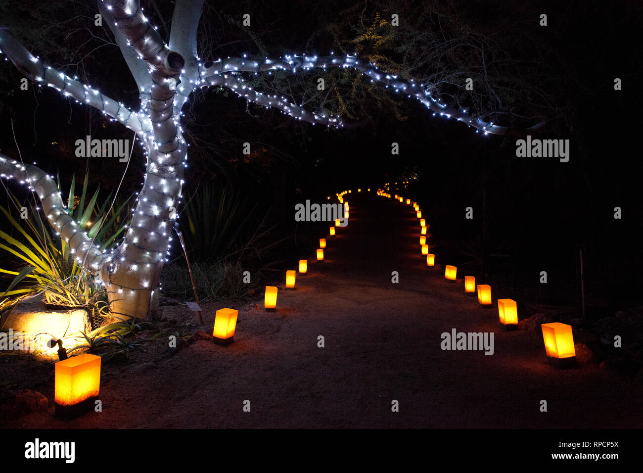 Trail of Light Stock Photo - Alamy
