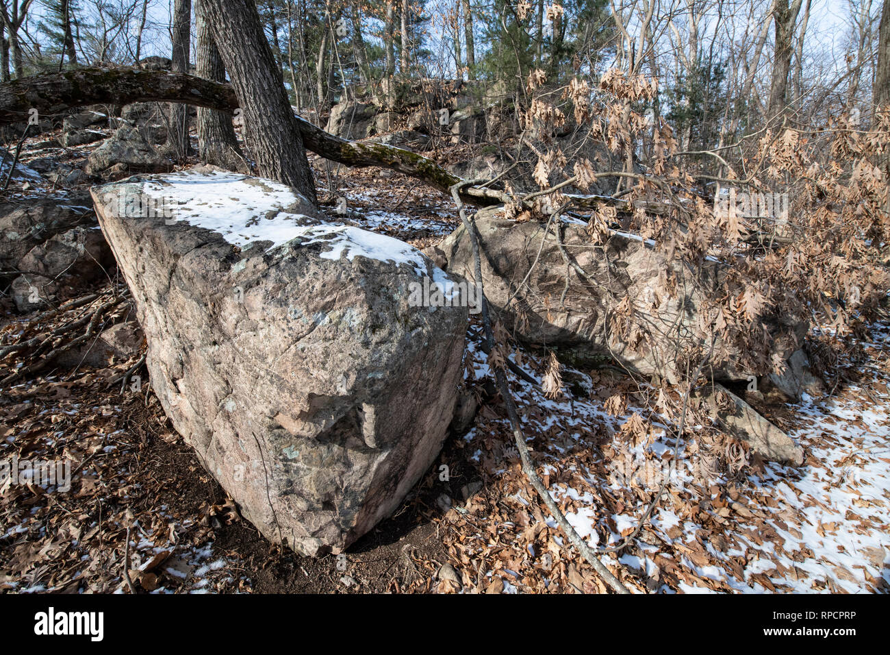 Large wooded area hi-res stock photography and images - Alamy