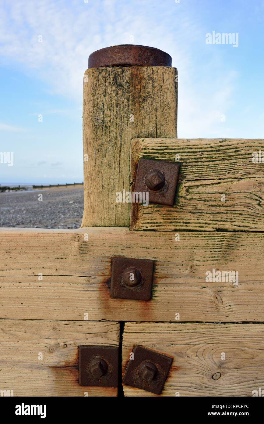 New wooden groyne with rusty steel bolts, green algae beginning to grow ...