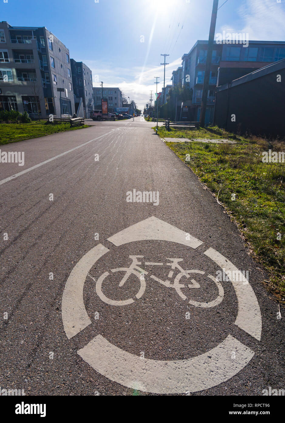 Bicycle road sign painted on the pavement. Bicycle lane,Bicycle sign on ...