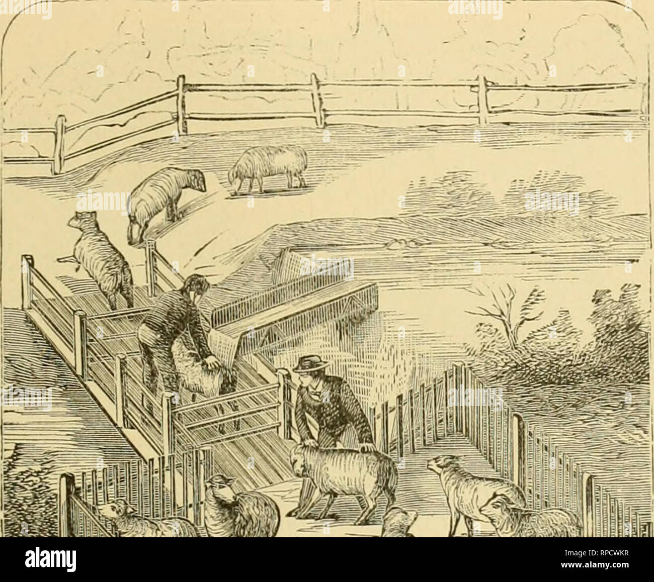 Dipping trough hi-res stock photography and images - Alamy