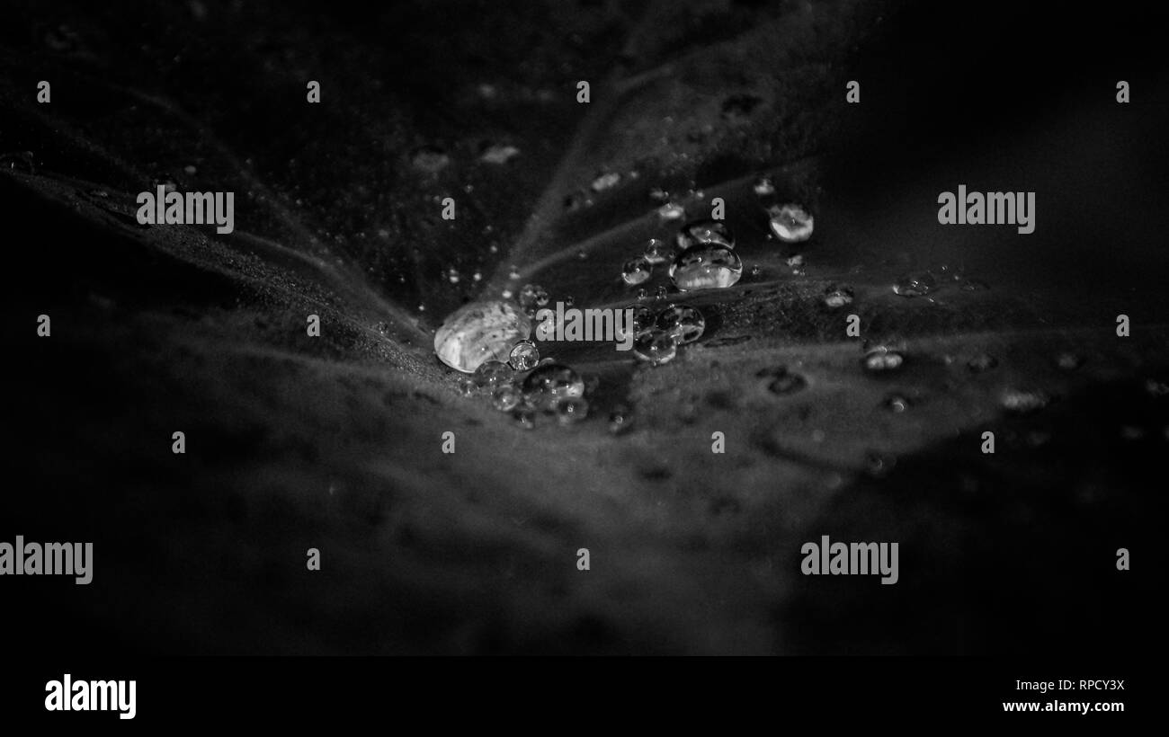 Dark tears Black and White Stock Photos & Images - Alamy