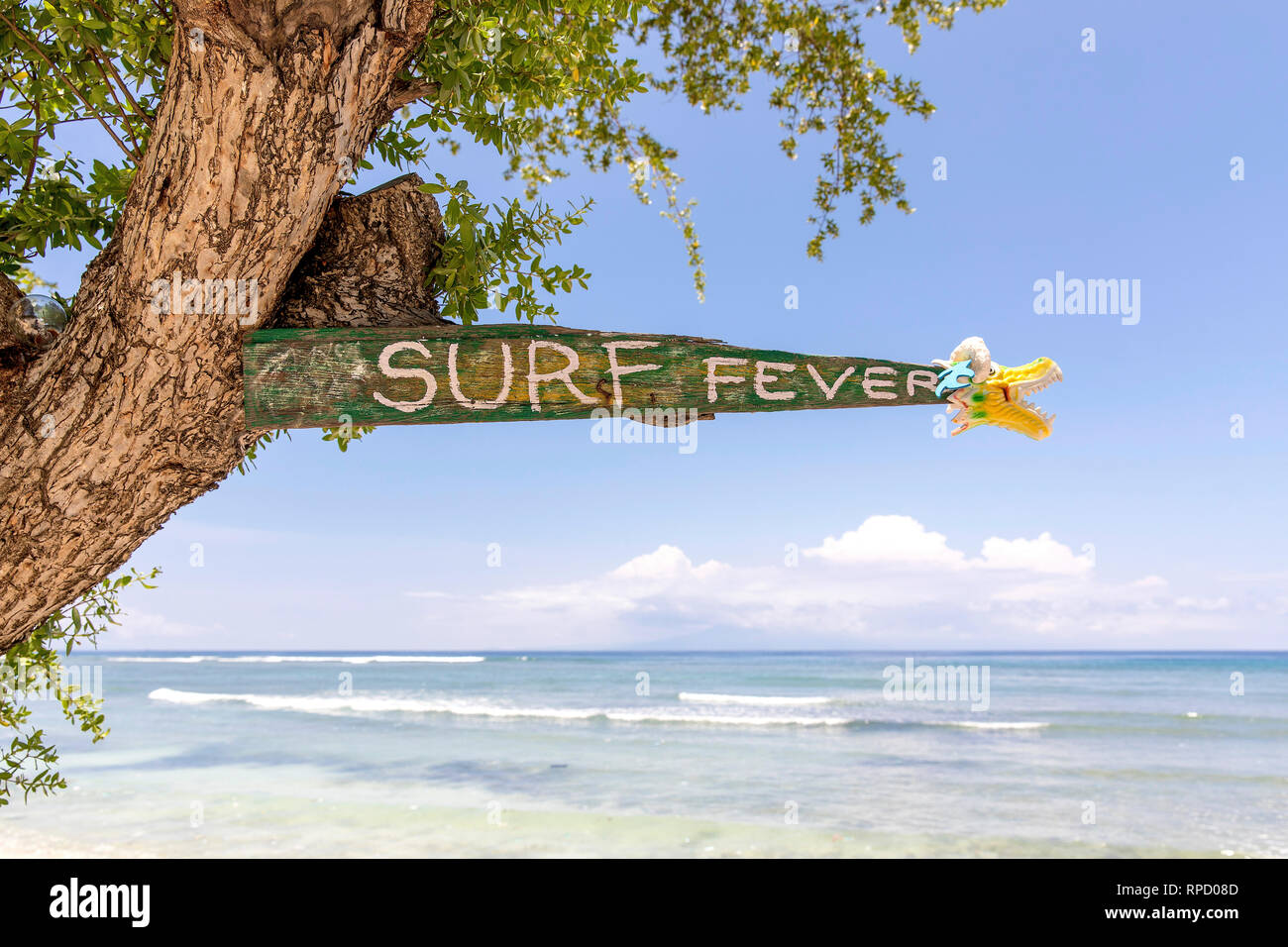 Time surfing hi-res stock photography and images - Alamy