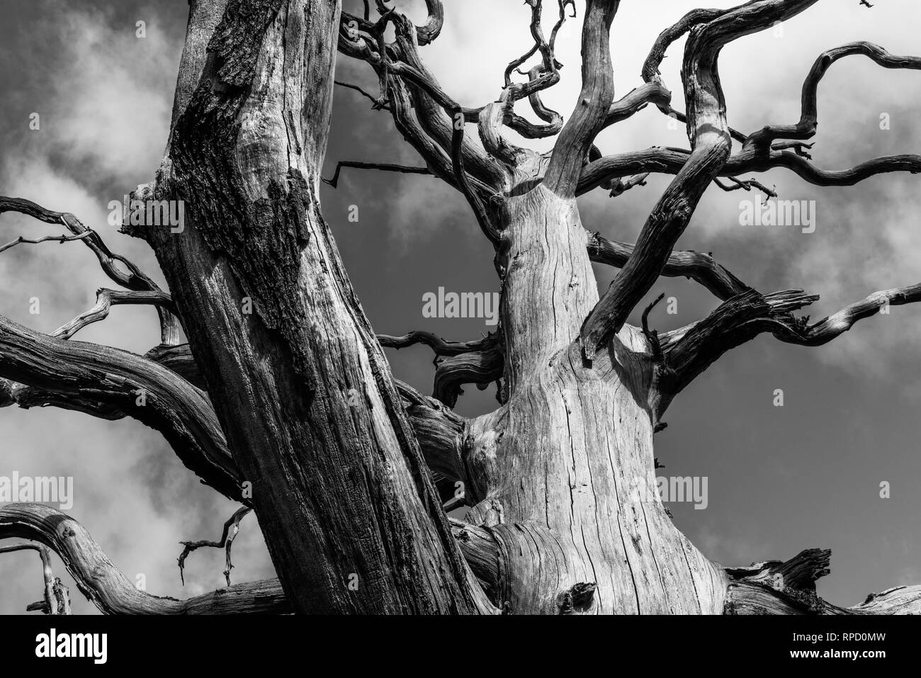 Climate strike Black and White Stock Photos & Images - Alamy