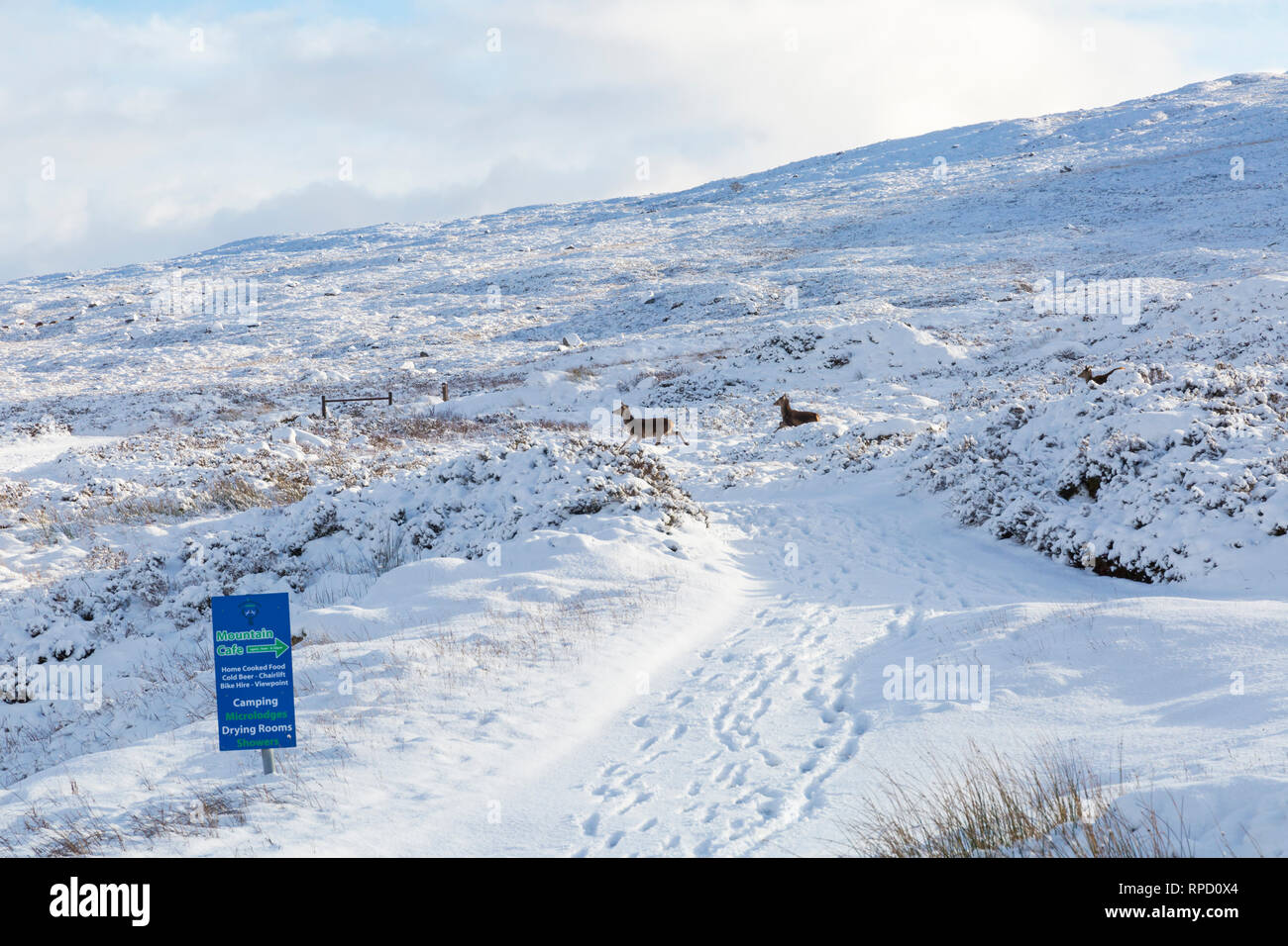 Scottish highlands snow hi-res stock photography and images - Alamy