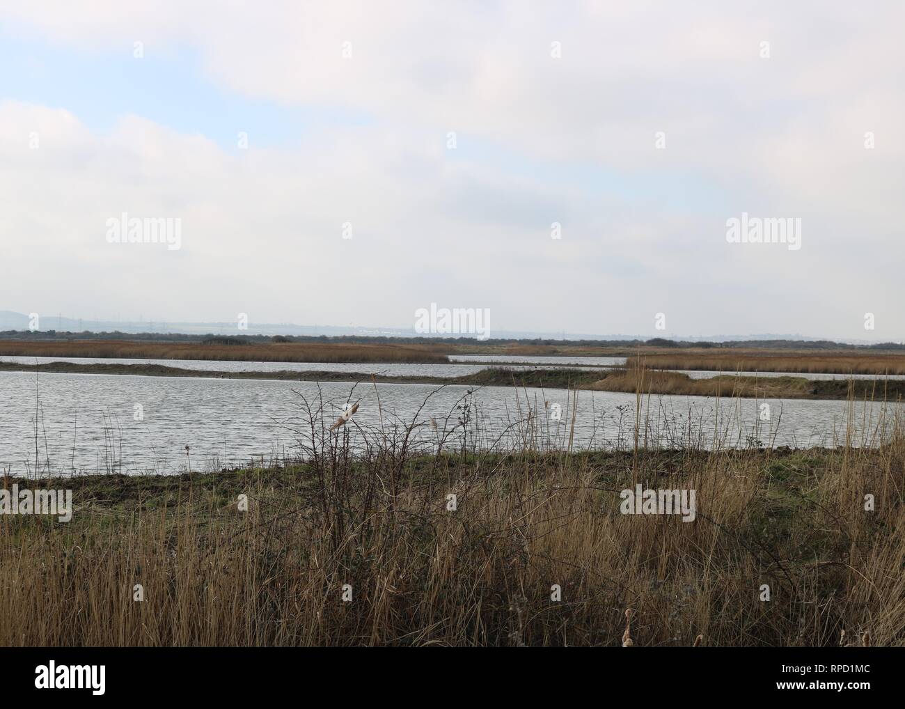 Cliffe Pools , Kent Stock Photo - Alamy