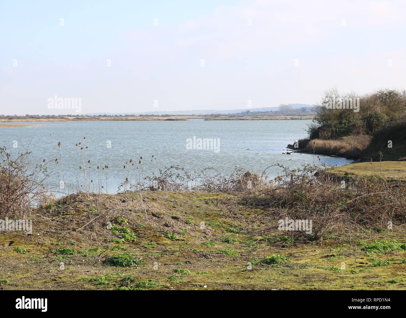 Cliffe Pools High Resolution Stock Photography and Images - Alamy