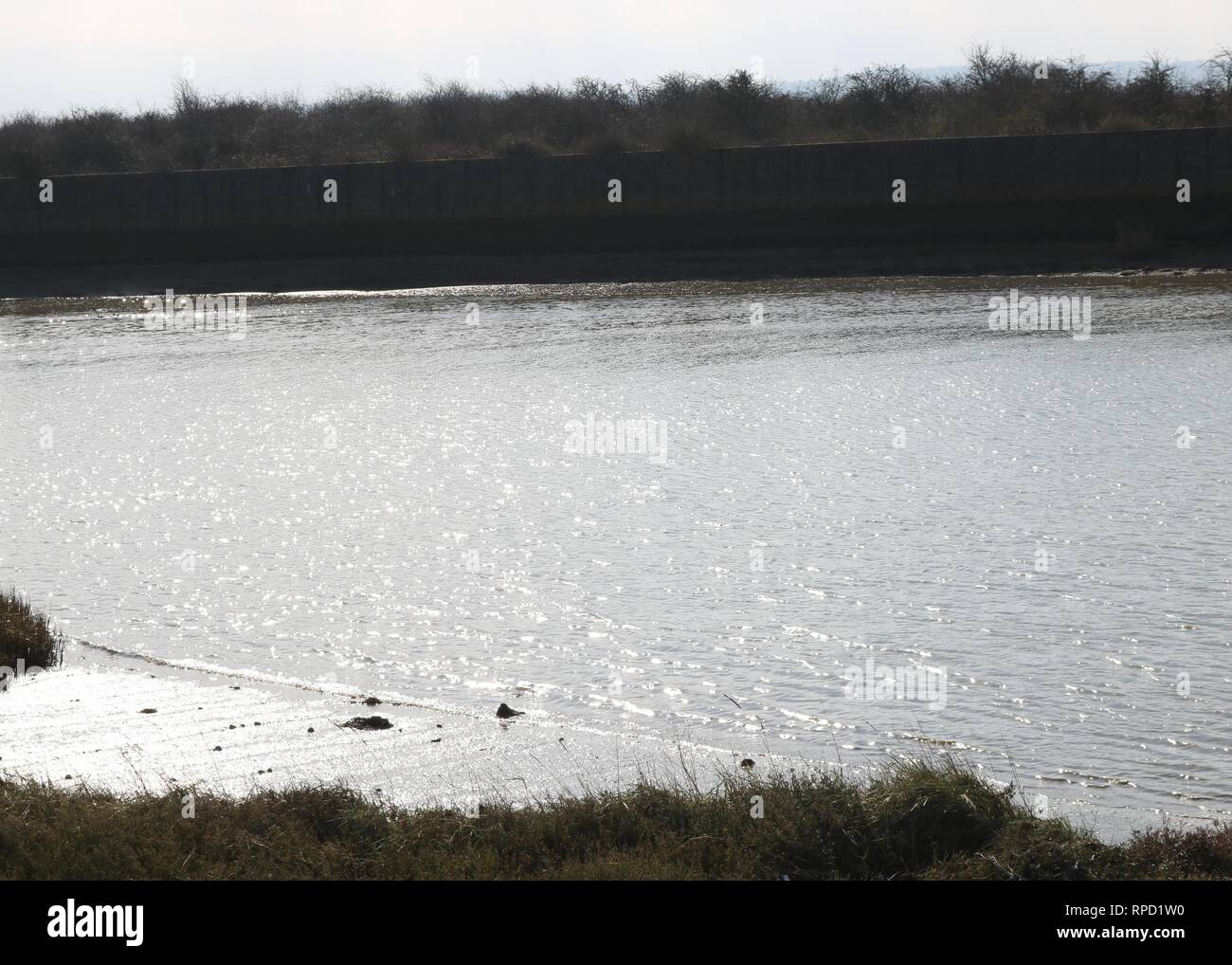 River kent estuary bird hi-res stock photography and images - Alamy