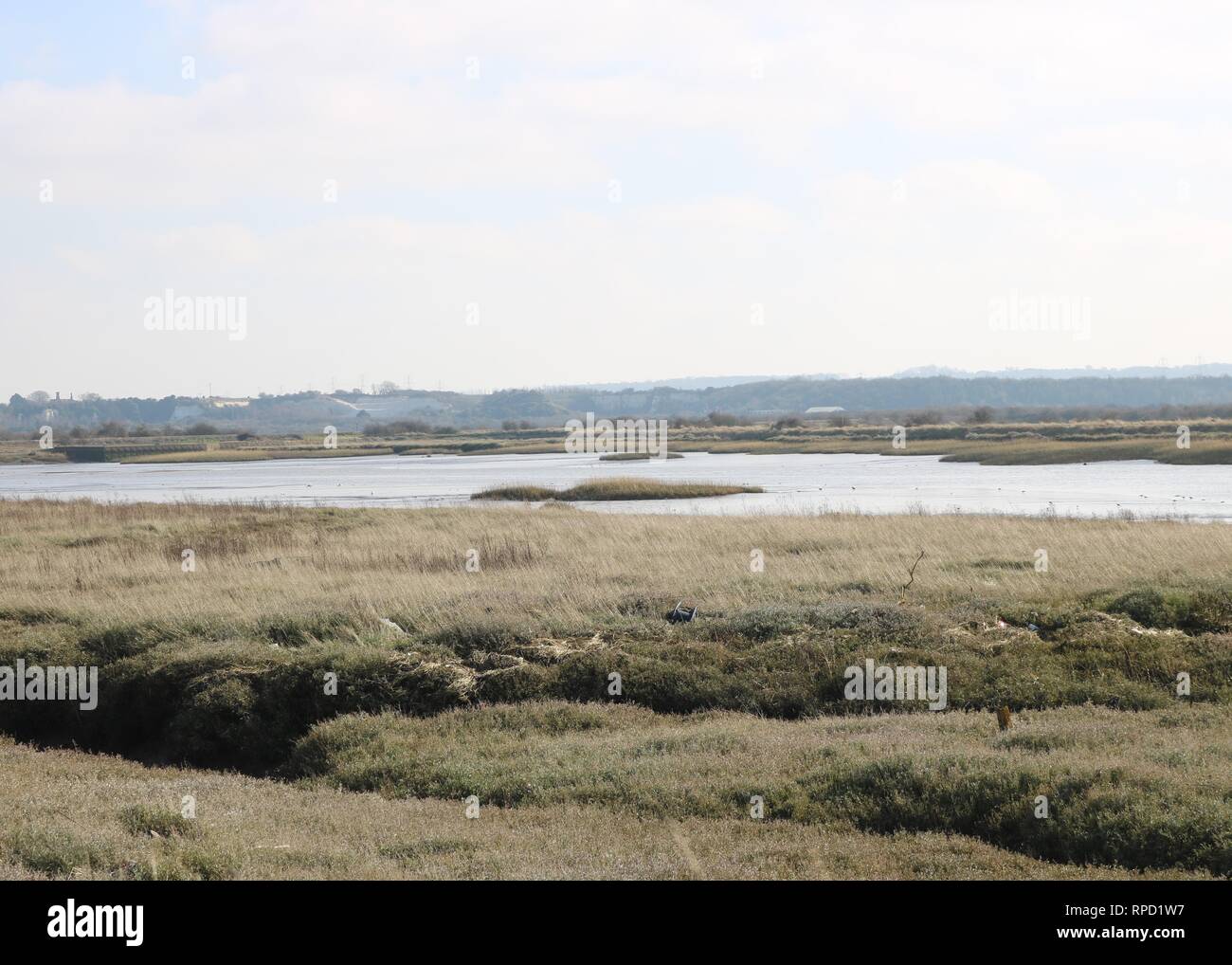 River kent estuary bird hi-res stock photography and images - Alamy
