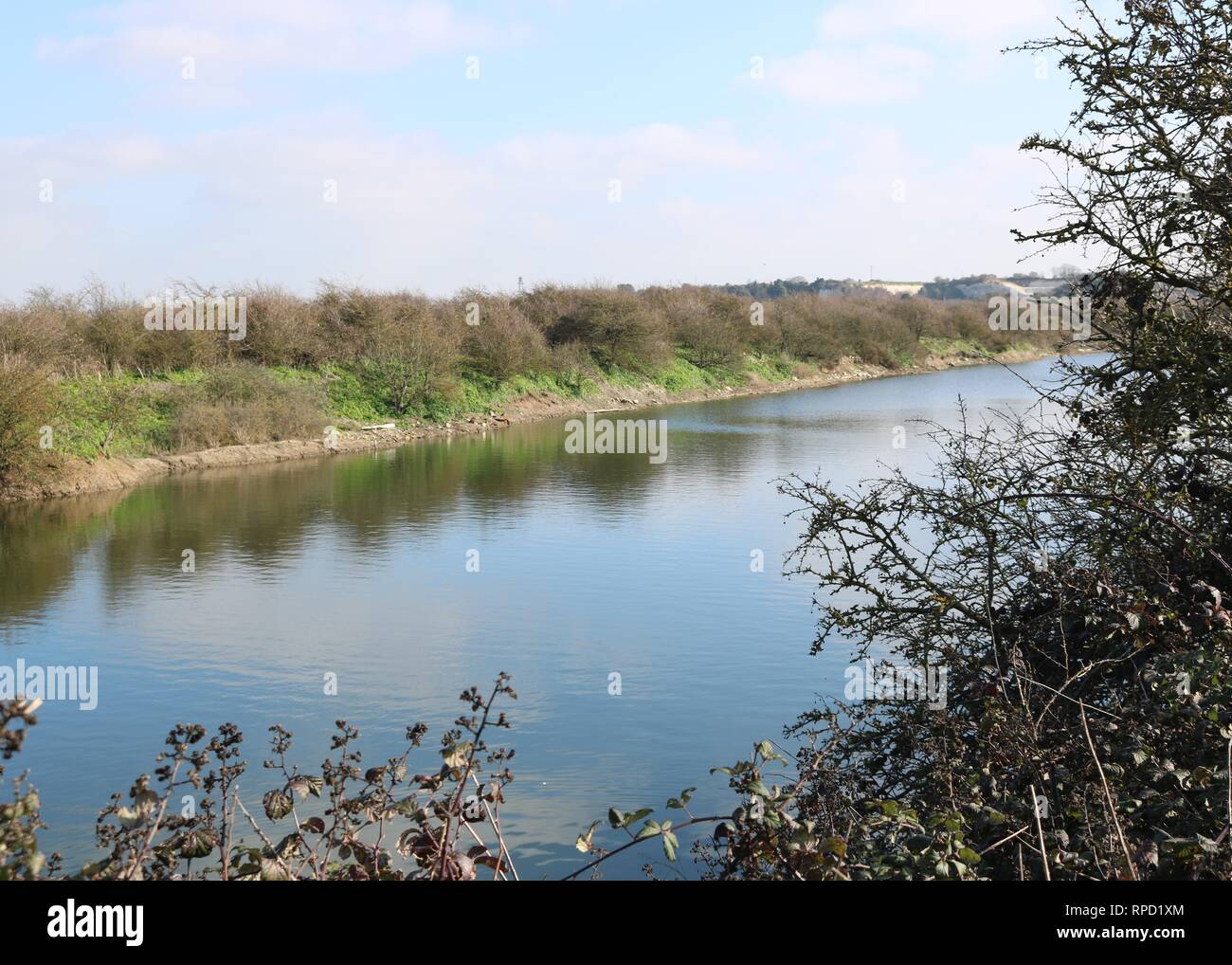 Rspb cliffe pools hi-res stock photography and images - Alamy