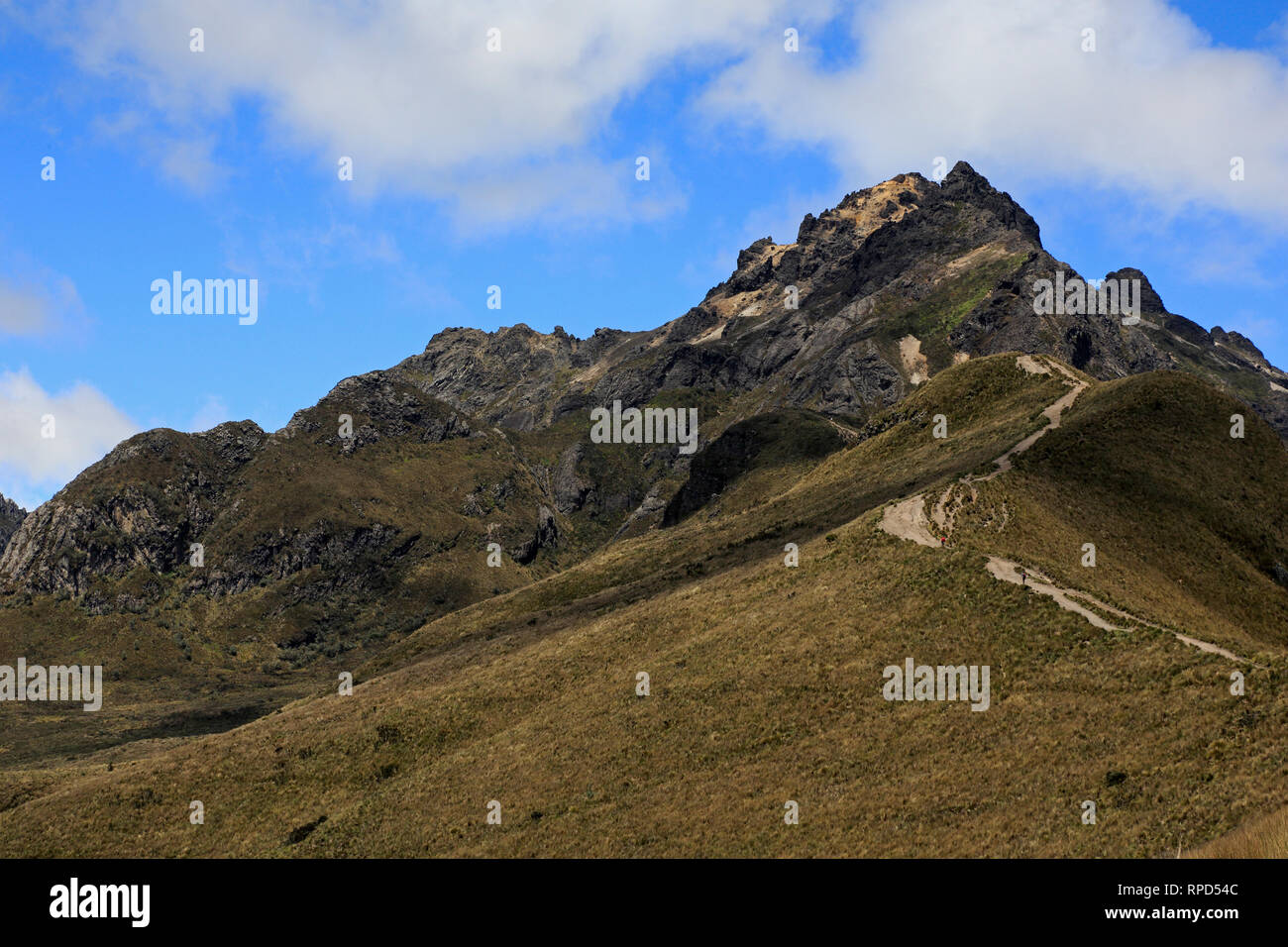 Rucu hi-res stock photography and images - Alamy