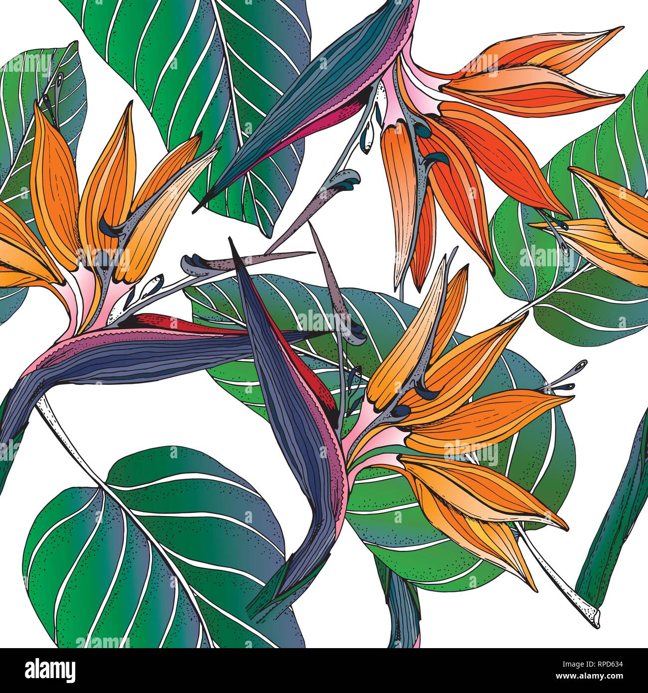 Doodle floral tropical background in vector with doodles colorful ...