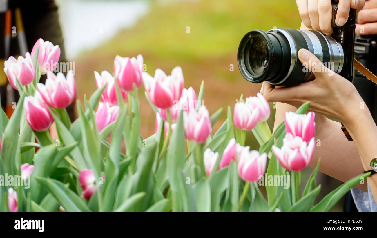 Taipei Shilin official residence, Taiwan - 21 Feb, 2019: 2019 Shilin ...